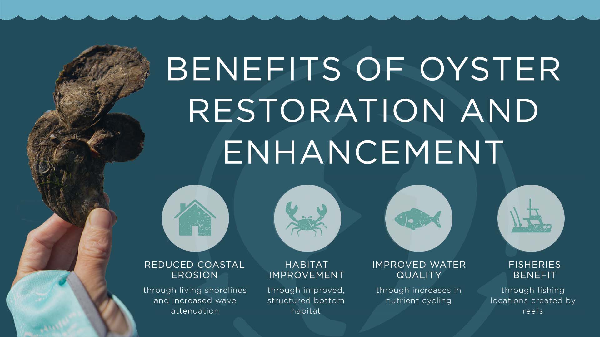 Join the NJ Shell Recycling Program - Greater Atlantic City Chamber